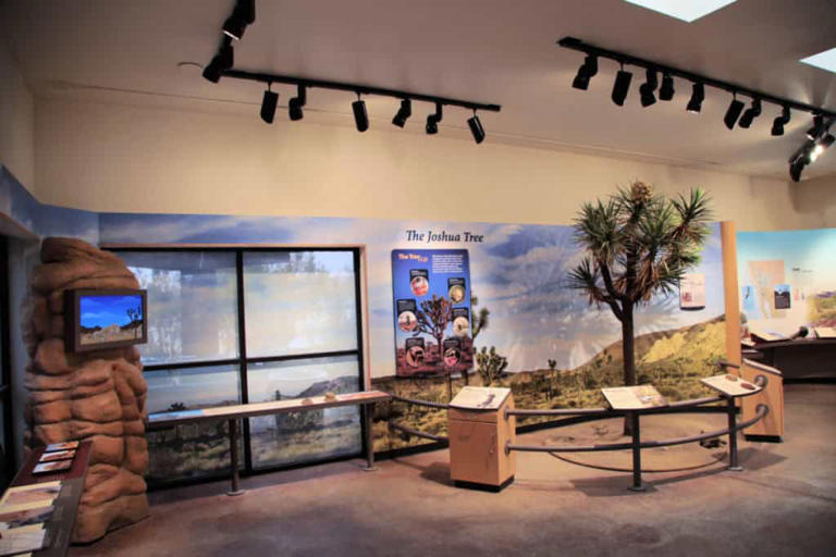 Complete Guide to Joshua Tree National Park