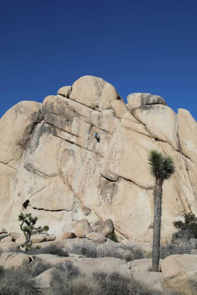Complete Guide to Joshua Tree National Park