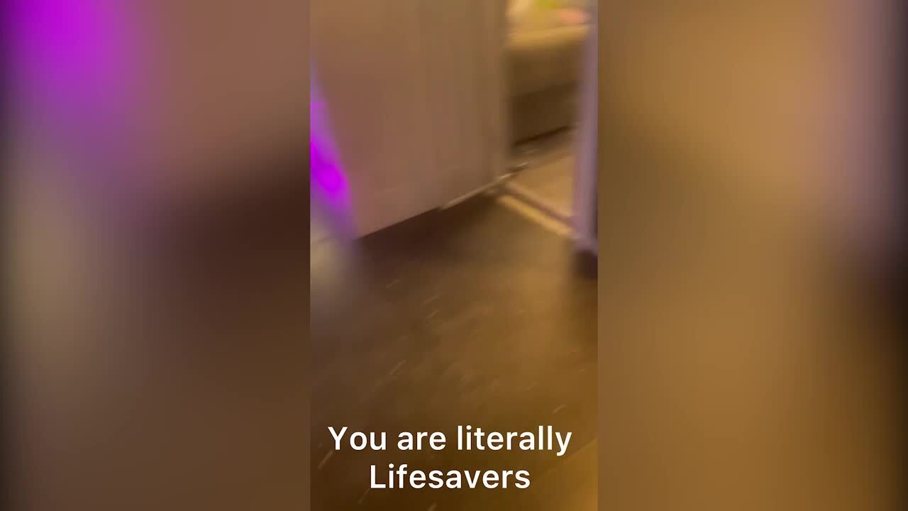 Dog Gets Herself Covered in Sugar Puffs From Head to Toe