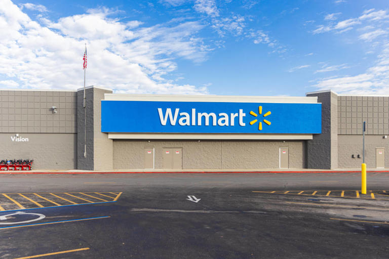 Walmart's Stunning Home Essential Is Nearly Identical to a Williams ...
