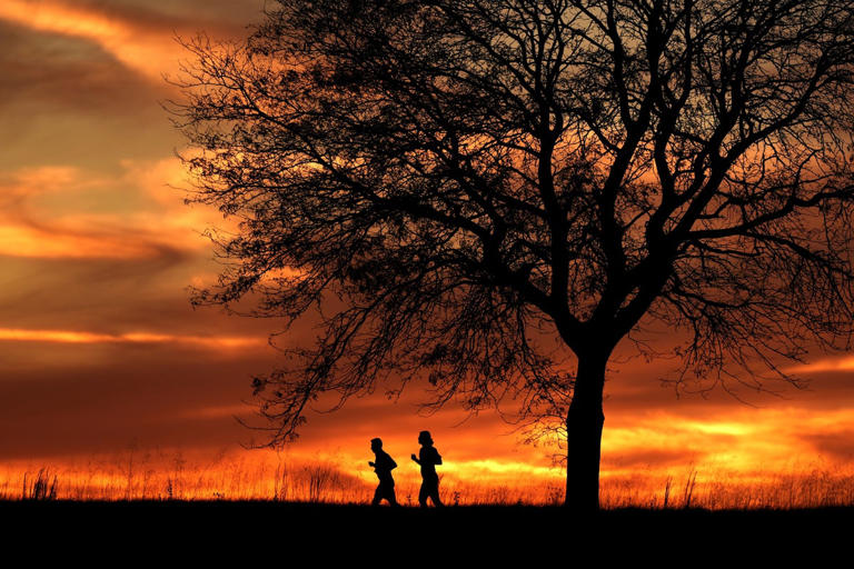 Second-warmest November on record means that 2024 is likely to be Earth ... Second-warmest November on record means that 2024 is likely to be Earth ...
