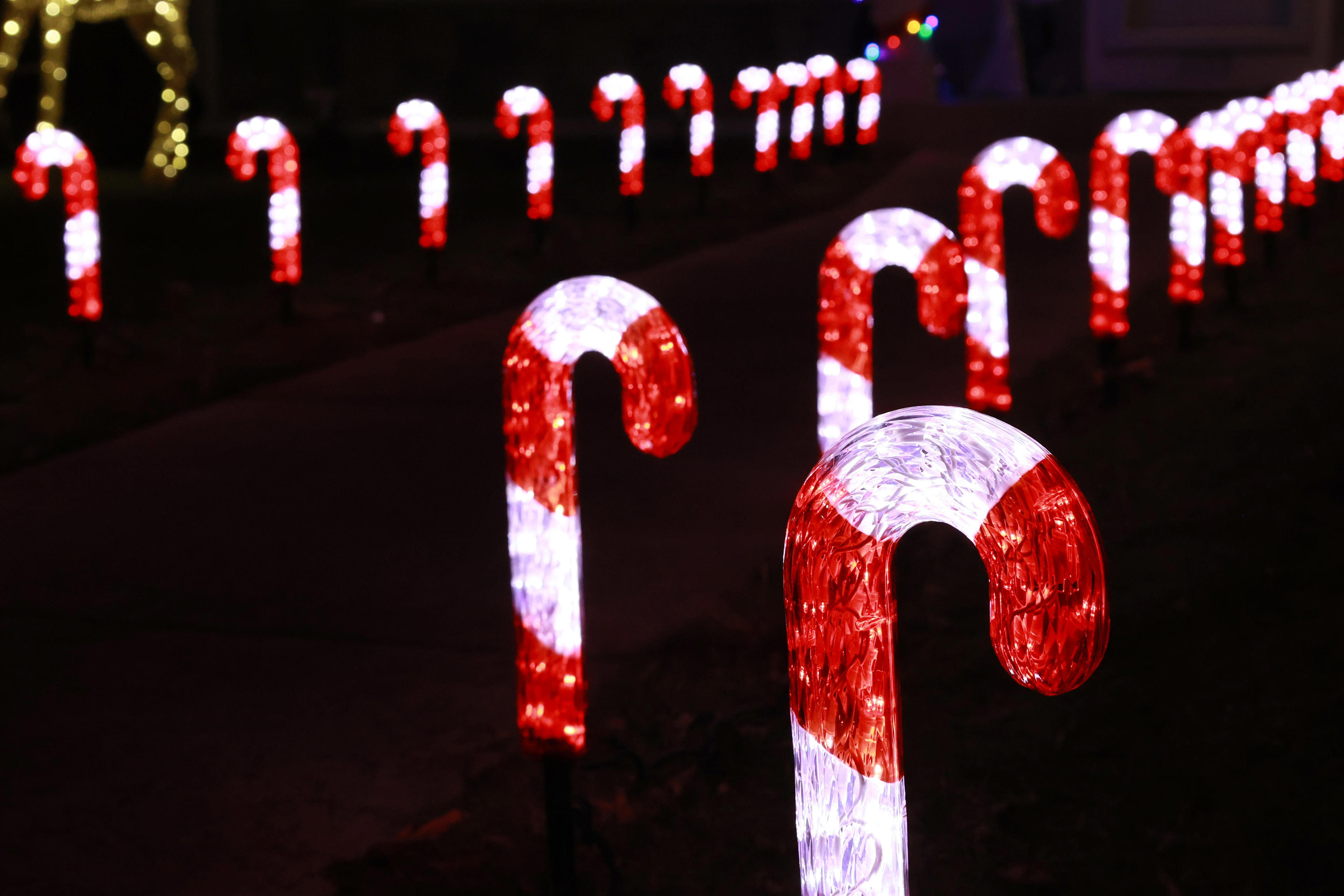 Candy Cane Lane by the numbers: A few facts about the popular holiday ...