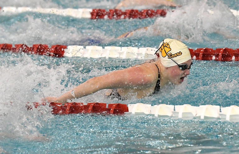 Police charge Upper Arlington swim team member with felonious assault ...