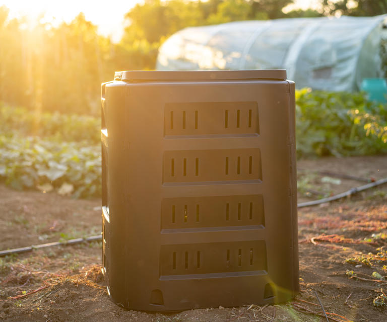 Why is my compost heap not heating up? Composting experts share 5 ...