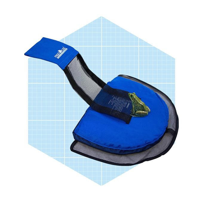 The FrogLog Pool Ramp Saves Frogs, Squirrels and Other Animals From the ...