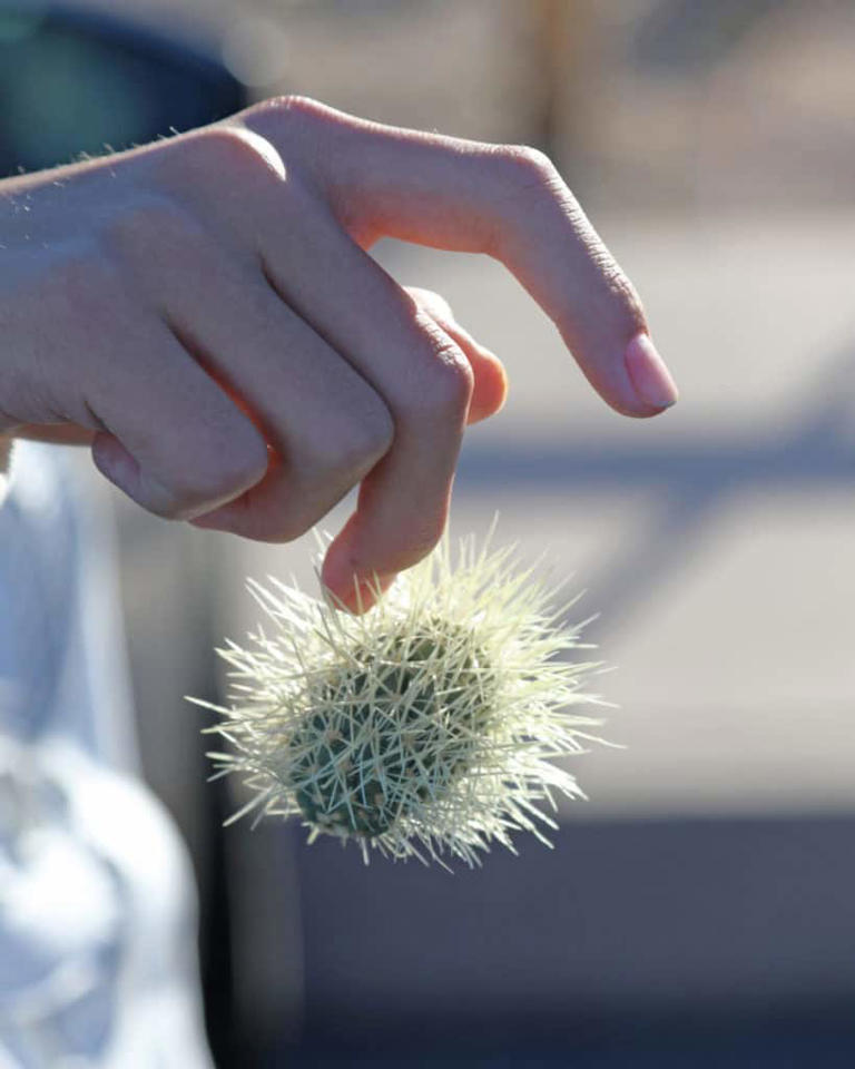 Epic guide of things to do in Joshua Tree National Park
