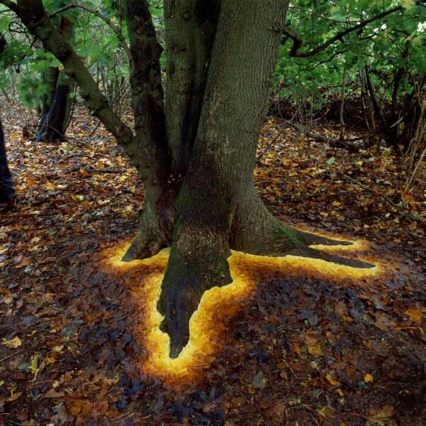 49 Interesting Pics and Cool Photos to Enjoy