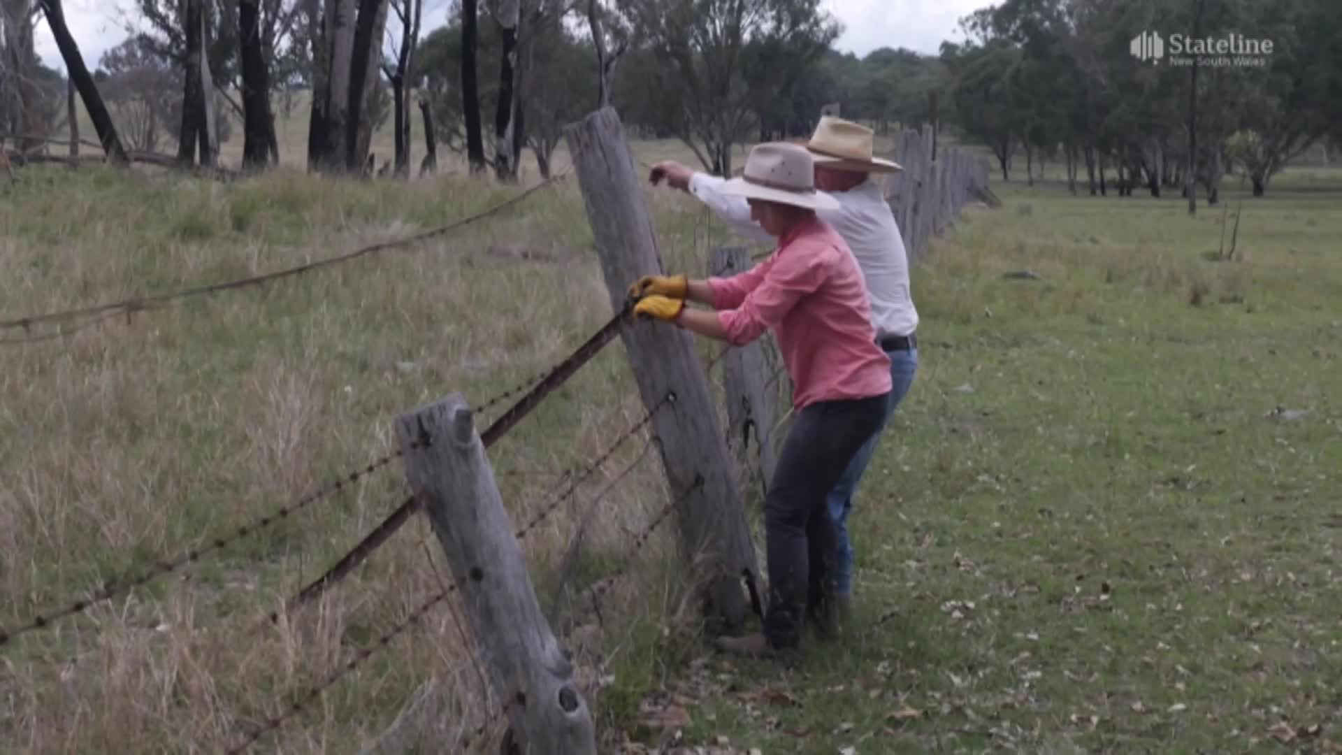 NSW bushfire victims fight for support as Queensland farmers receive ... NSW bushfire victims fight for support as Queensland farmers receive ...