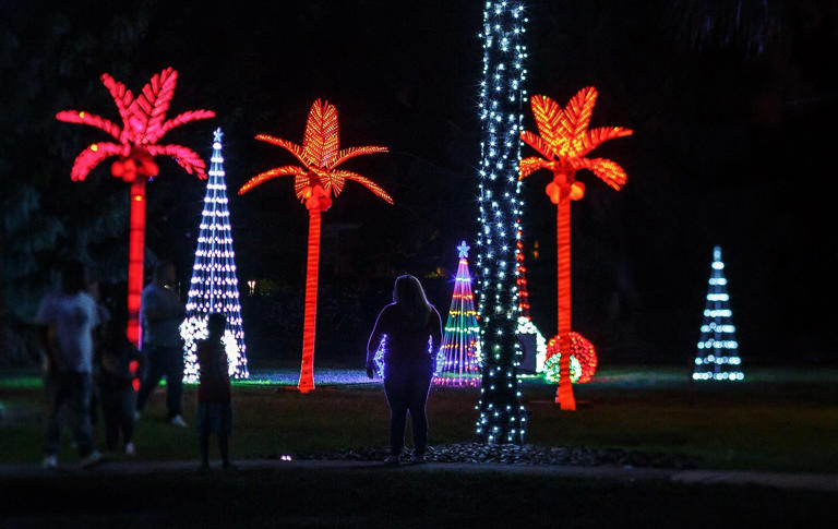 Looking for fun things to do this weekend Jan. 3-5? Top 5 events in ...