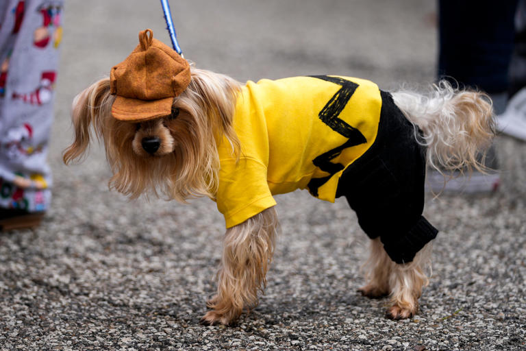 Top 10 things to do on the first weekend of 2025