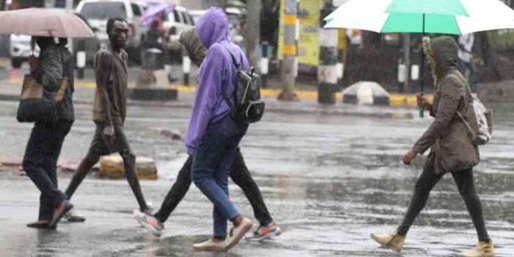 Weatherman Lists Regions to Receive Cold Nights Below 9°C Amid Reduced ...