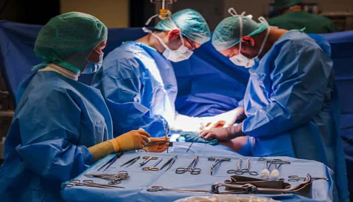 Organ transplant patients are inheriting donors’ memories, phobia ... Organ transplant patients are inheriting donors’ memories, phobia ...