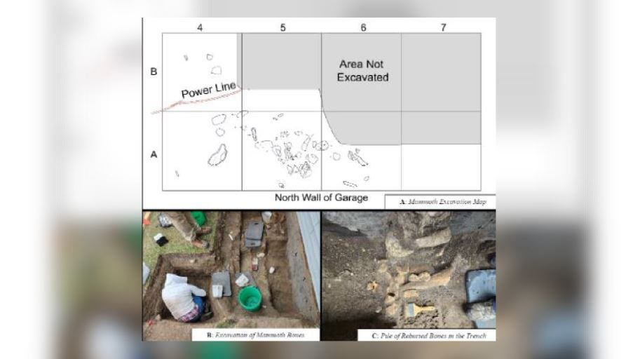 NDGS eyeing more woolly mammoth bones beneath garage in northwest North ... NDGS eyeing more woolly mammoth bones beneath garage in northwest North ...
