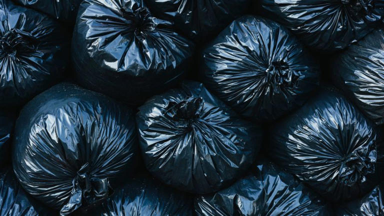 Roadside trash collection suspended in Mobile on Memorial Day