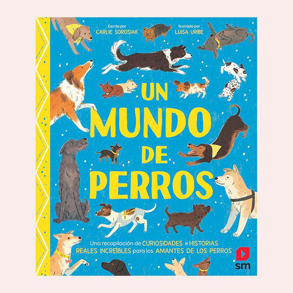 Los mejores libros para niños de 6 a 8 años que son un acierto como regalo