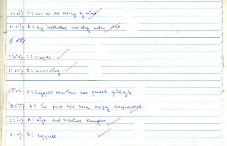 CBSE Topper Answer Sheet Class 12 English Elective 2025, Download PDF