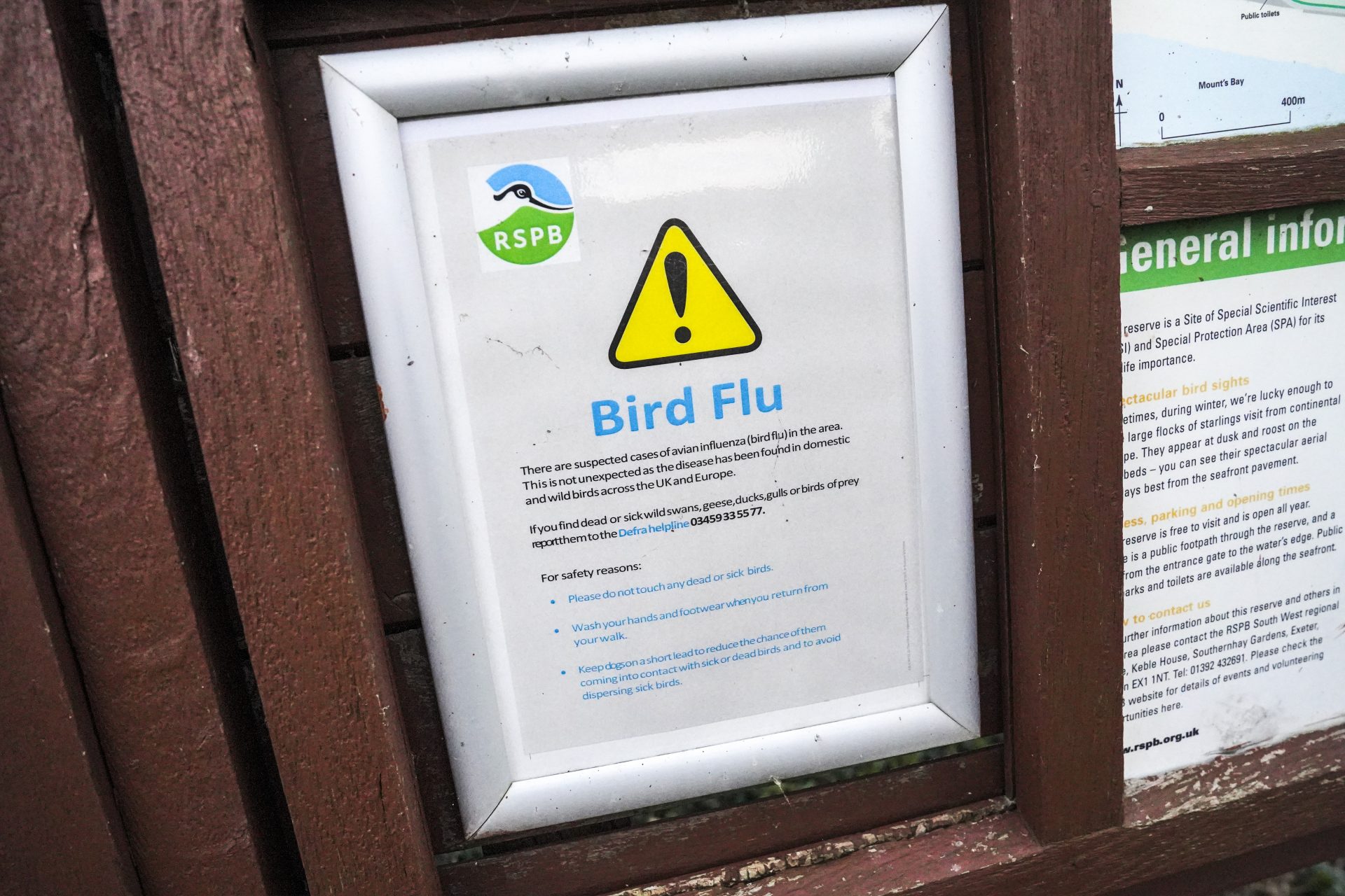 Scientists warn bird flu could become a real threat to humans
