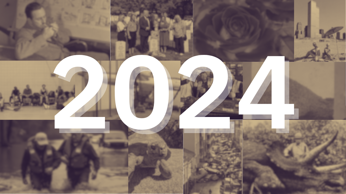 Snopes Fact-Checked These Real — and Fake — Images in 2024