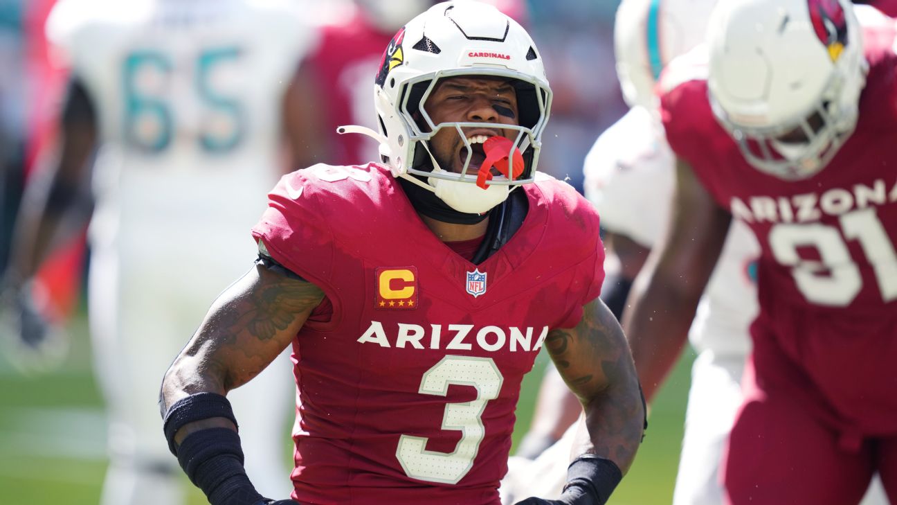 Fantasy football rankings Week 18: IDP