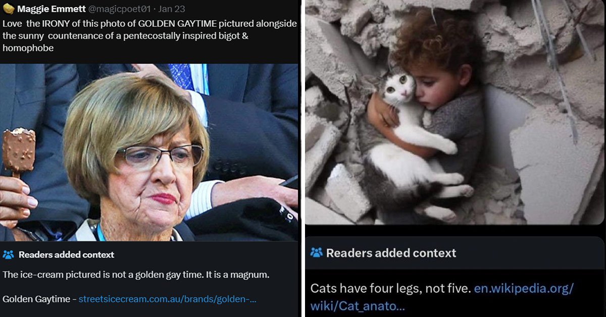 25 People Who Got Roasted by Community Notes