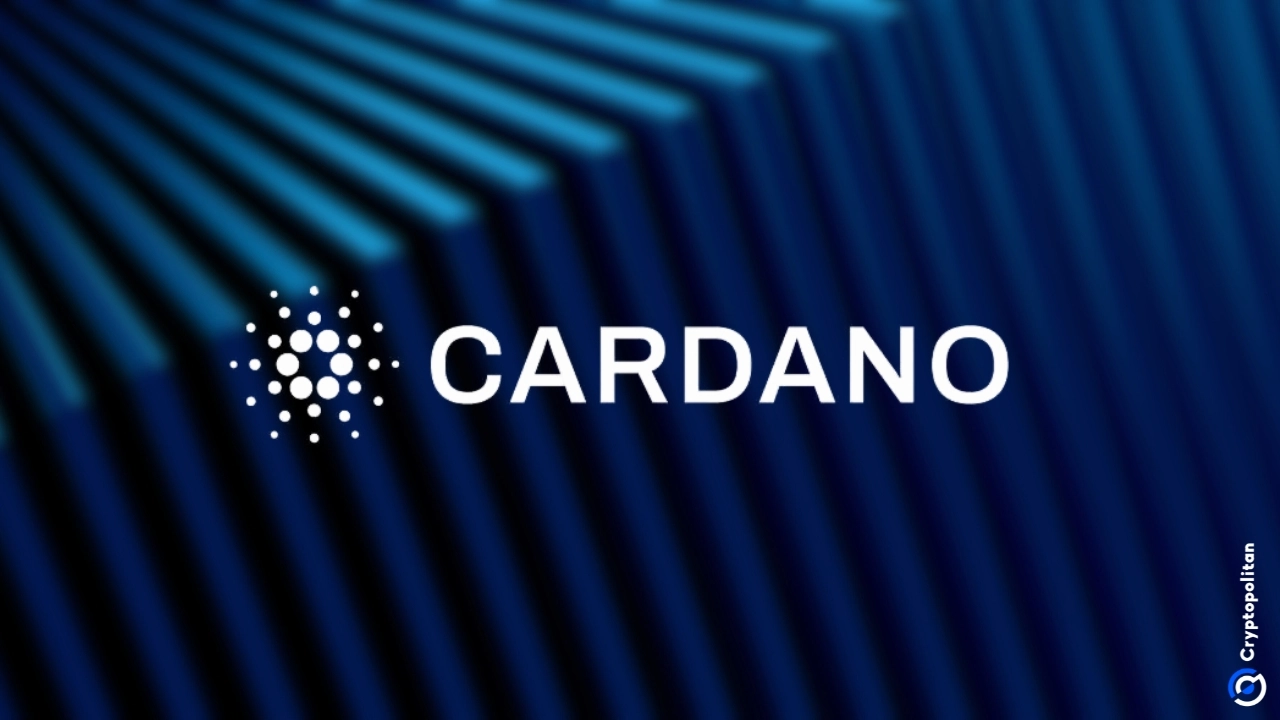 Cardano Foundation clarifies position on ecosystem’s governance ... Cardano Foundation clarifies position on ecosystem’s governance ...