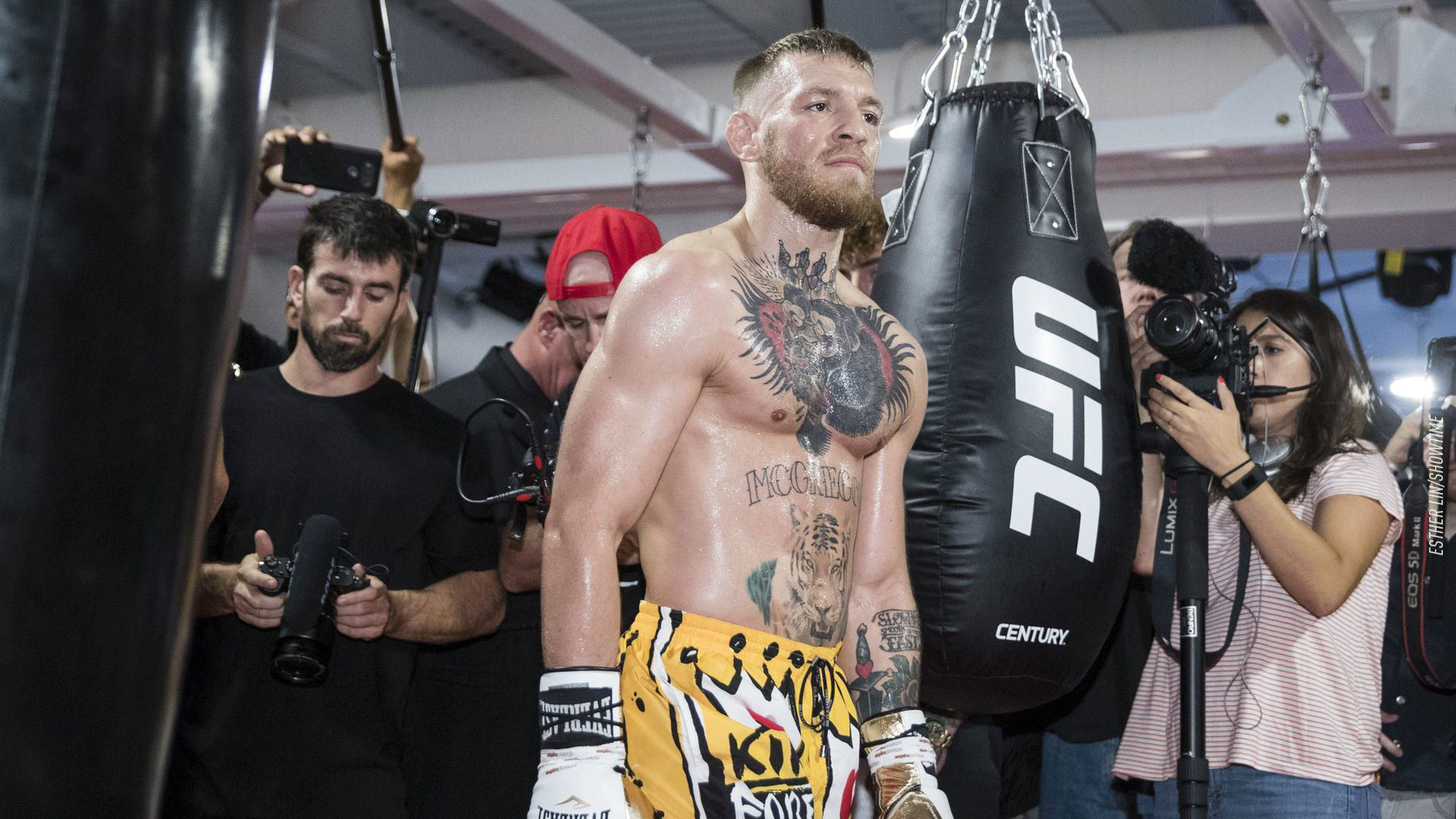 Conor McGregor claims he’s pursuing a boxing exhibition against Logan ... Conor McGregor claims he’s pursuing a boxing exhibition against Logan ...