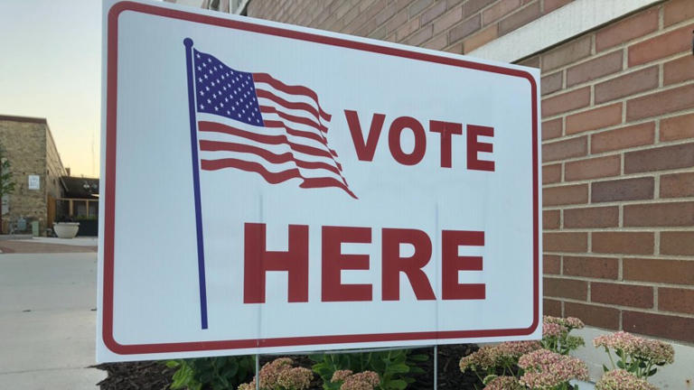 Everything voters should know before the runoff election