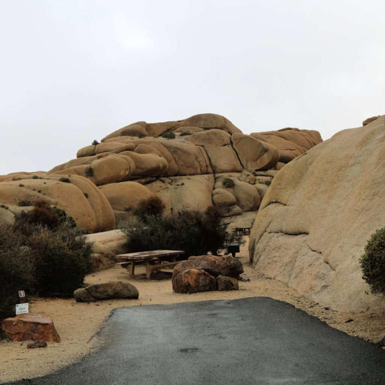 Jumbo Rocks Campground - Joshua Tree National Park
