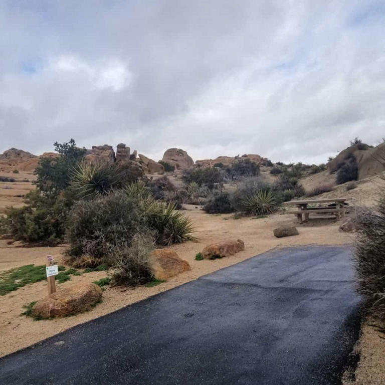 Jumbo Rocks Campground - Joshua Tree National Park