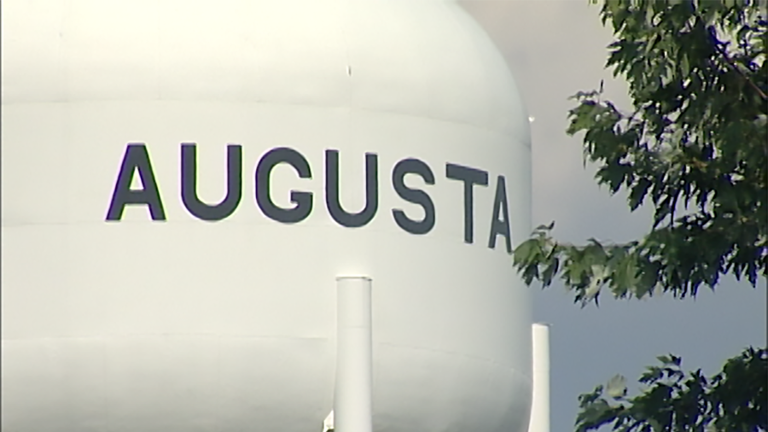 Snake sneaks into Augusta substation, lights go out