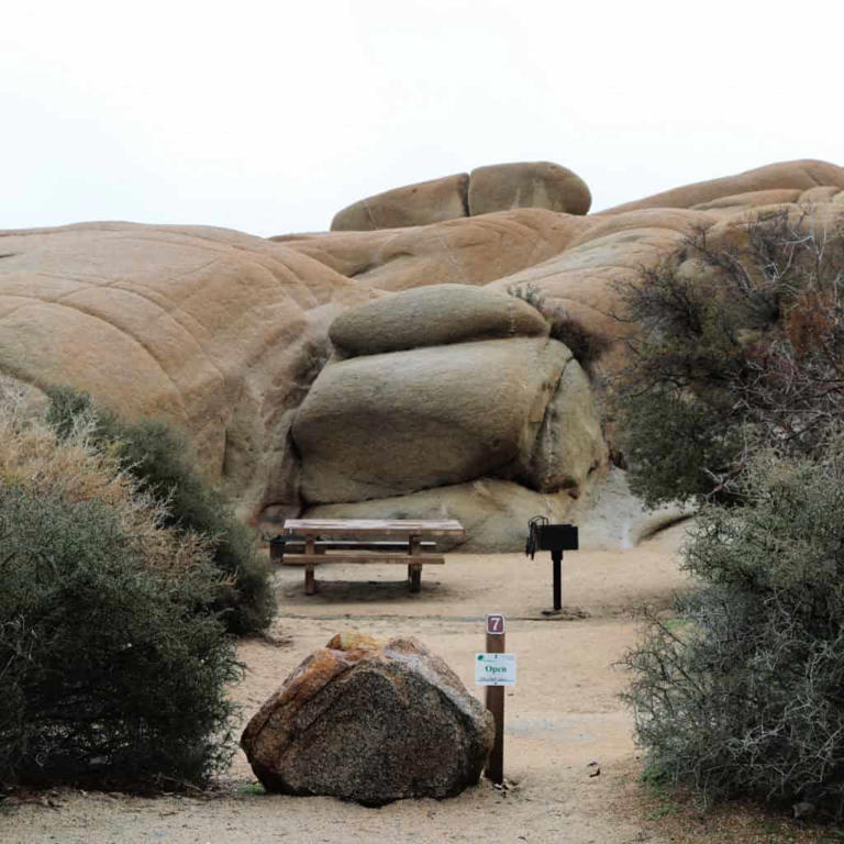 Jumbo Rocks Campground - Joshua Tree National Park