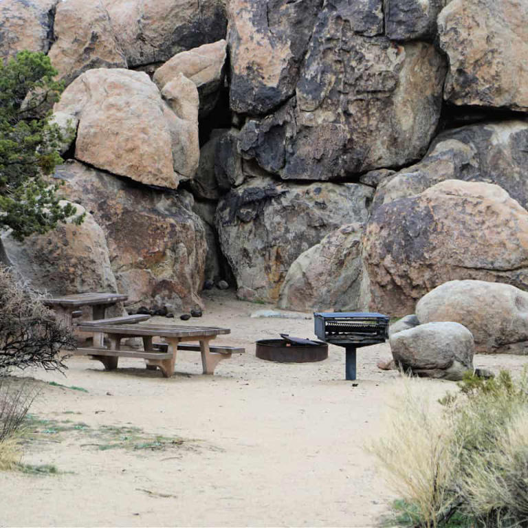 Ultimate Joshua Tree National Park Camping Guide - California