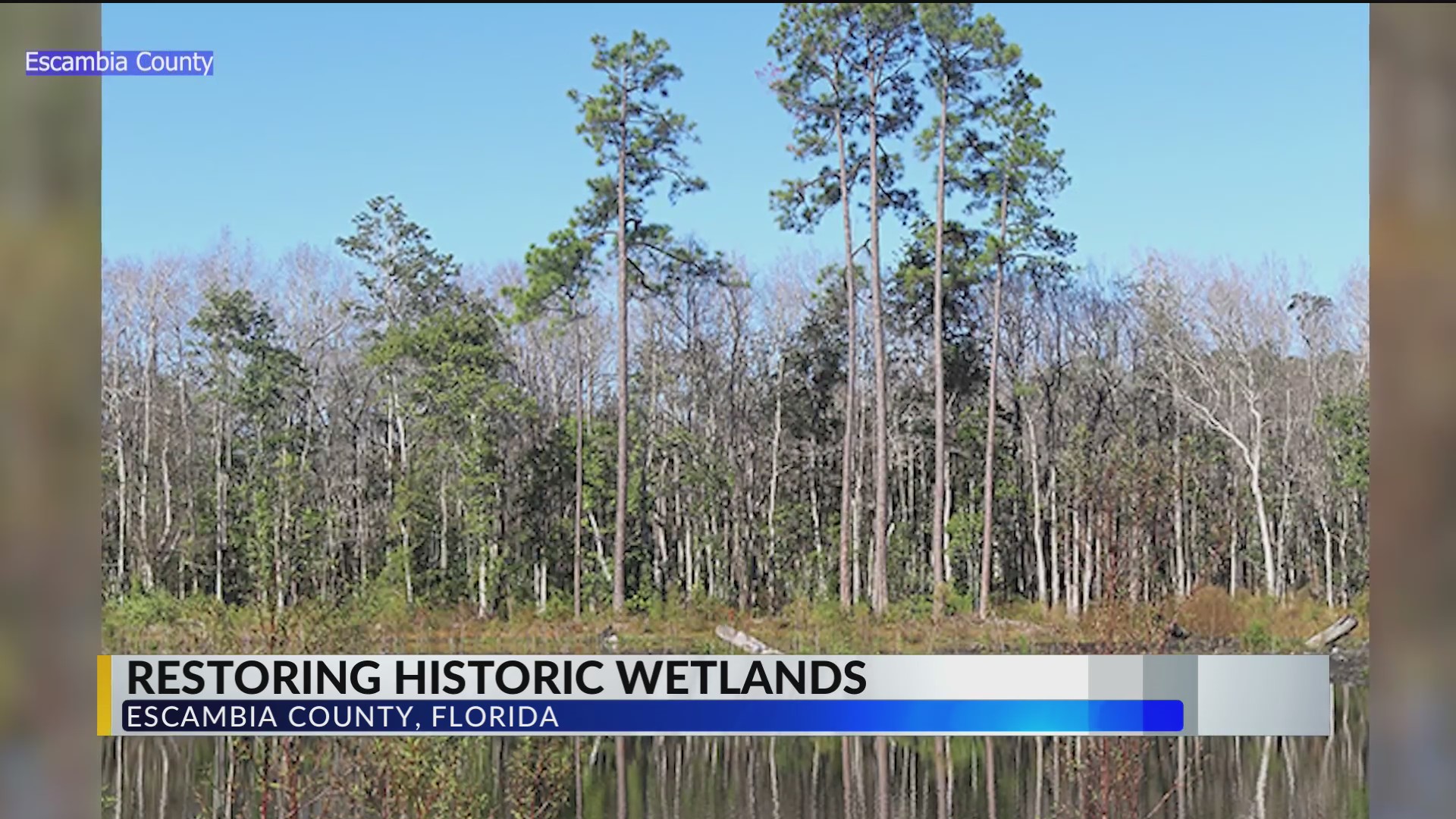 Escambia County completes $1.47 million Jones Swamp Floodplain Restoration