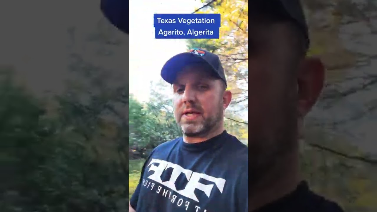 "Agarito, Algerita in Texas – What You Should Know About These Plants!"