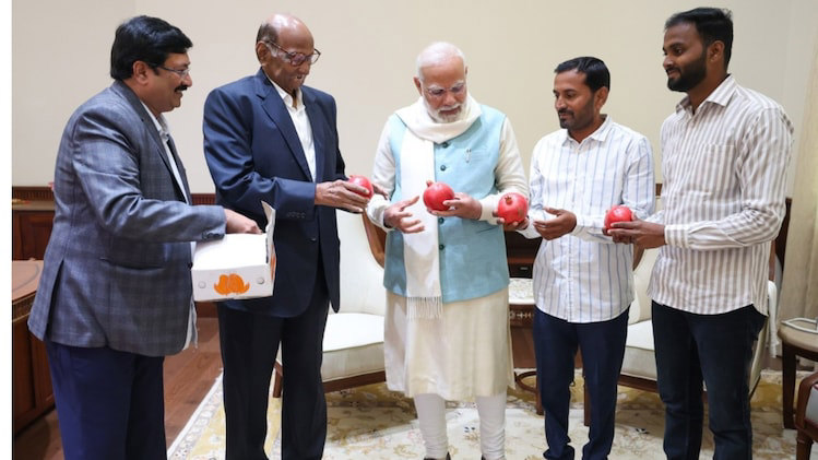 Day after Uddhav-Fadnavis meet, NCP(SP) chief Sharad Pawar meets PM ... Day after Uddhav-Fadnavis meet, NCP(SP) chief Sharad Pawar meets PM ...