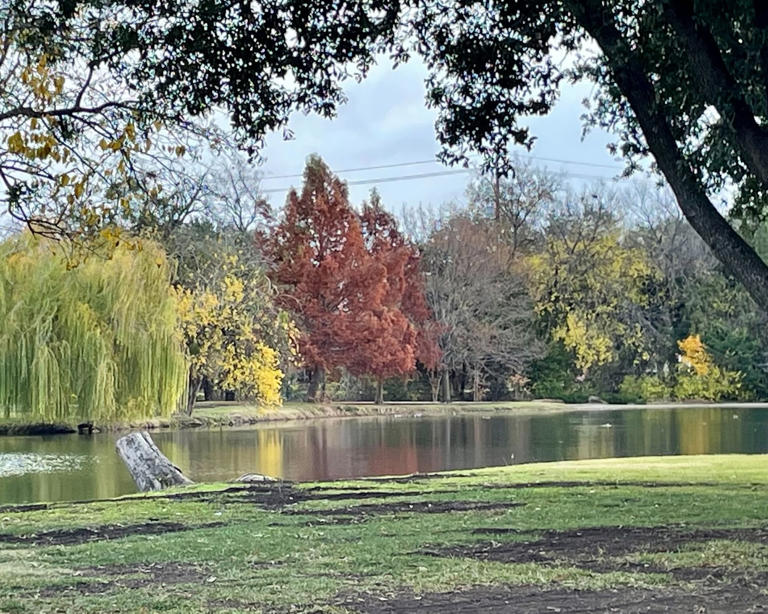 Our readers shared photos of beautiful North Texas fall color