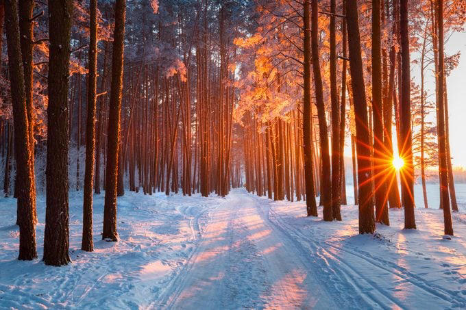 What to Know About the First Day of Winter: Winter Solstice 2025