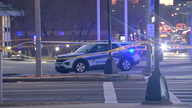 Police investigating after pedestrian struck, killed in Boston