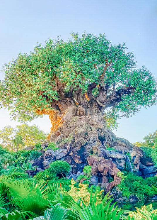 Complete Disney's Animal Kingdom Guide (2025)