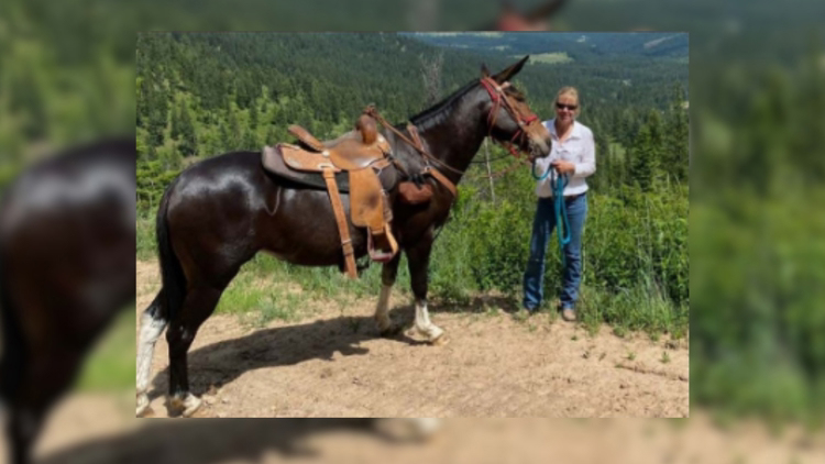 Missing Coeur d'Alene woman found dead near her property Missing Coeur d'Alene woman found dead near her property