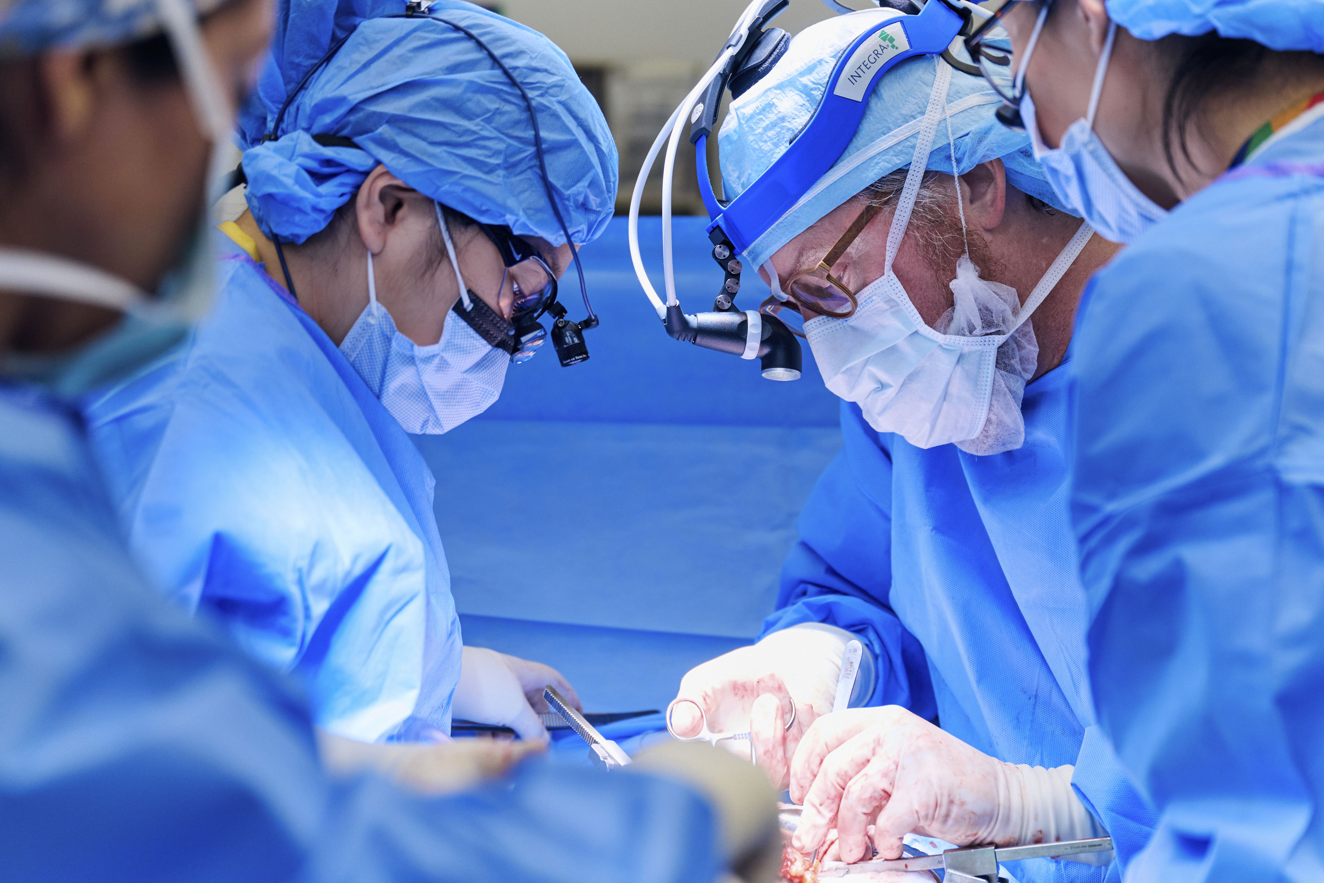 FDA approves first human clinical trials for gene-edited pig kidney ...