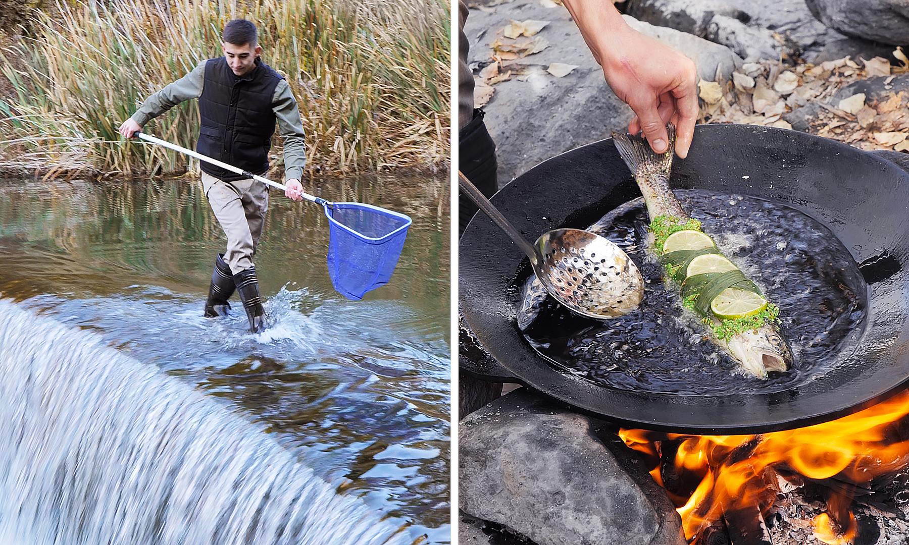 Catch, Cook, and Savor: Wild Fish Adventures! 🎣🔥