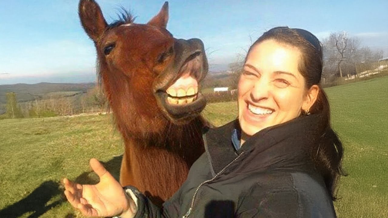 The funniest animal and human moments of the year