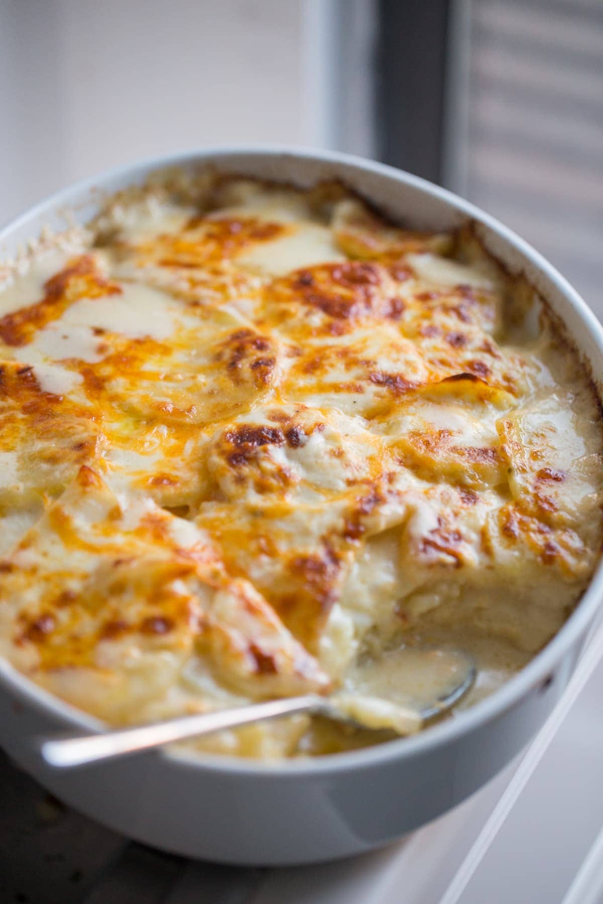 This creamy cheesy potato bake gets requested again and again