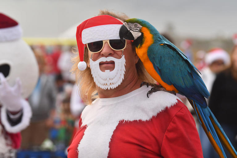 Spread love and joy through the Post's Season to Share | Editorial