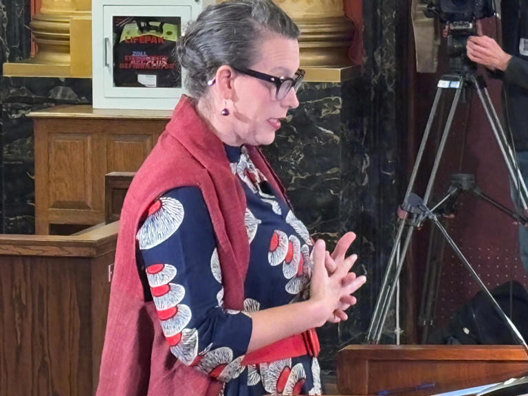 Finalists for Council District 7 vacancy pitch themselves at hearing