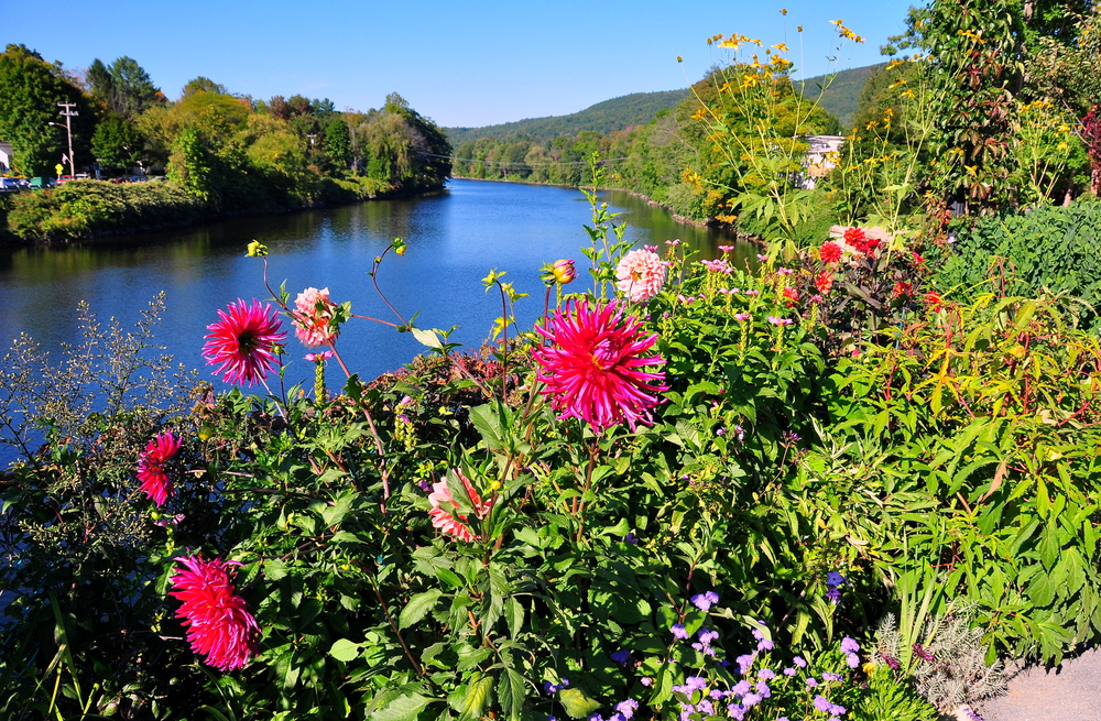 19 Most Beautiful Flower Fields to Visit in the U.S.
