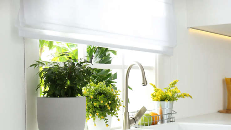 Essentials That Make Kitchens Feel Expensive Essentials That Make Kitchens Feel Expensive