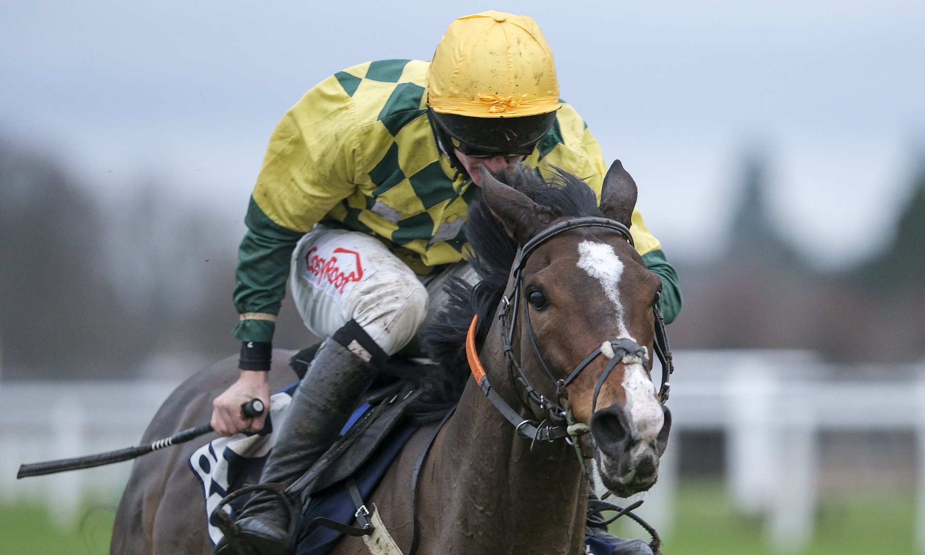 Robin Goodfellow's racing tips: Best bets for Monday, December 30