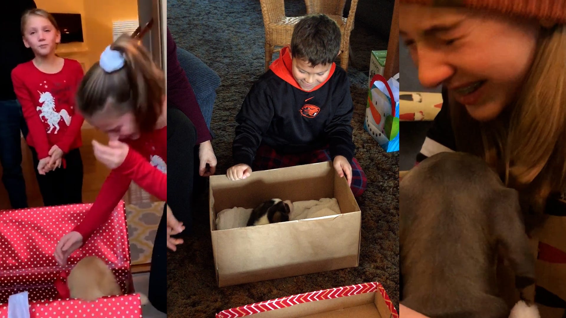 Surprise! Surprise! Surprise! Three families stunned by service members ...